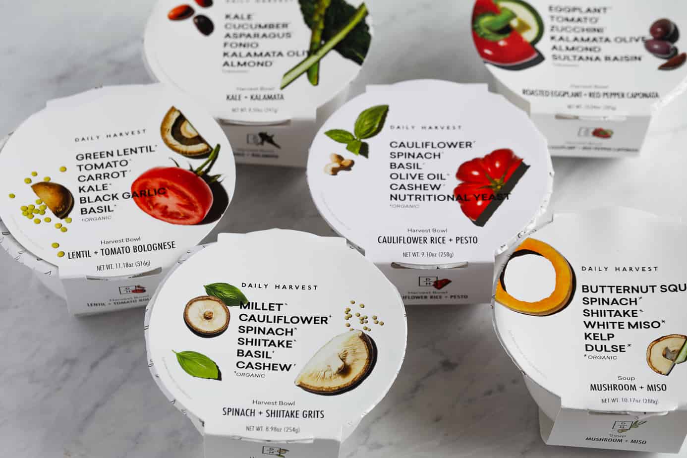 Daily Harvest Review 2024 (Tried and Tested)